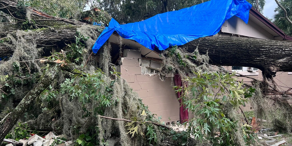 Teen rescued after giant tree falls onto Florida home while family ...