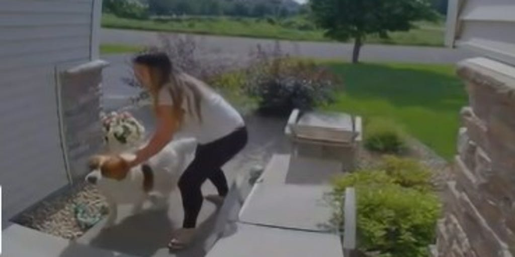 Watch: Minnesota dog chases bear out of family's yard | Fox Weather