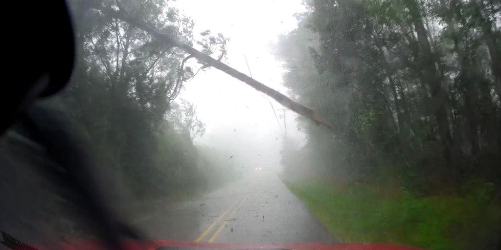Watch the shocking moment a tree, power line fall in front of moving ...