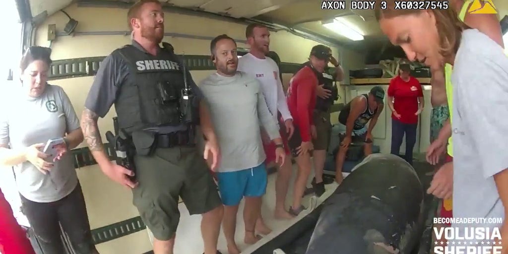 Florida beachgoers watch in awe as at least 12 people use stretcher to ...