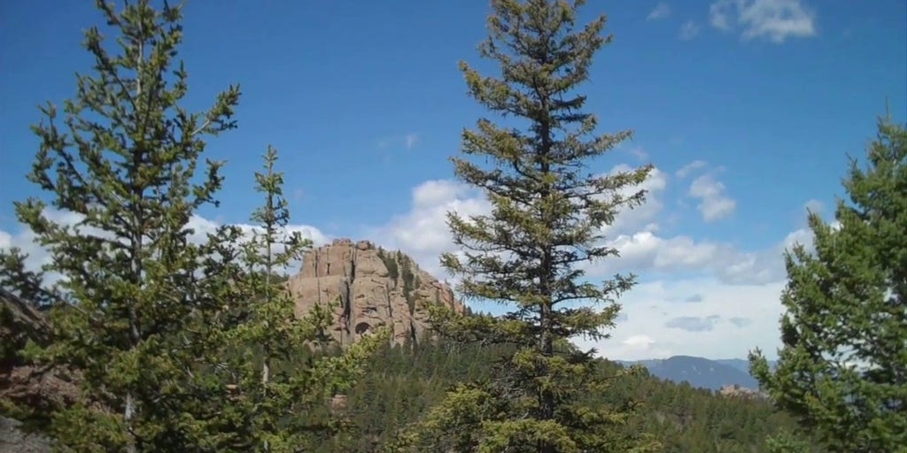 8-year-old survives 'extraordinarily rare' cougar attack inside ...