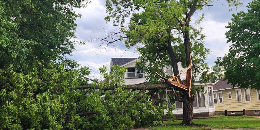Hurricane-force wind gusts down trees, power lines across Kansas | Fox ...