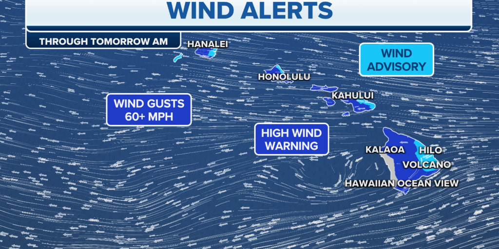 Wind-driven fires break out across Hawaii as Category 4 Hurricane Dora ...