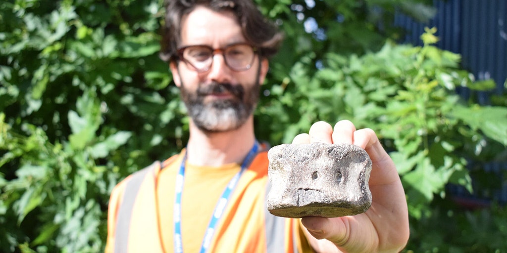 Discovered dinosaur bone in England might have belonged to centuries ...
