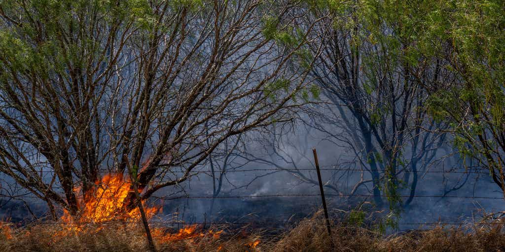 Relentless Texas heat wave sets stage for 'critical' wildfire dangers ...
