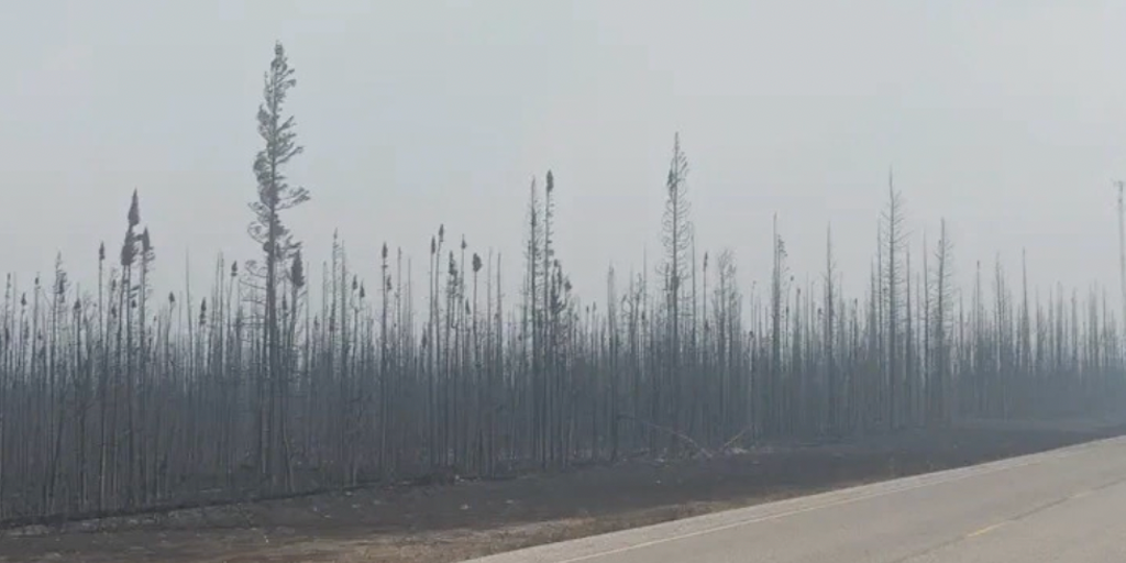 Wildfire forces entire capital city of Canada’s Northwest Territories ...