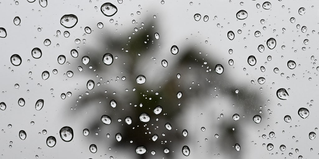 Florida faces days of heavy rain while potential tropical system tries ...