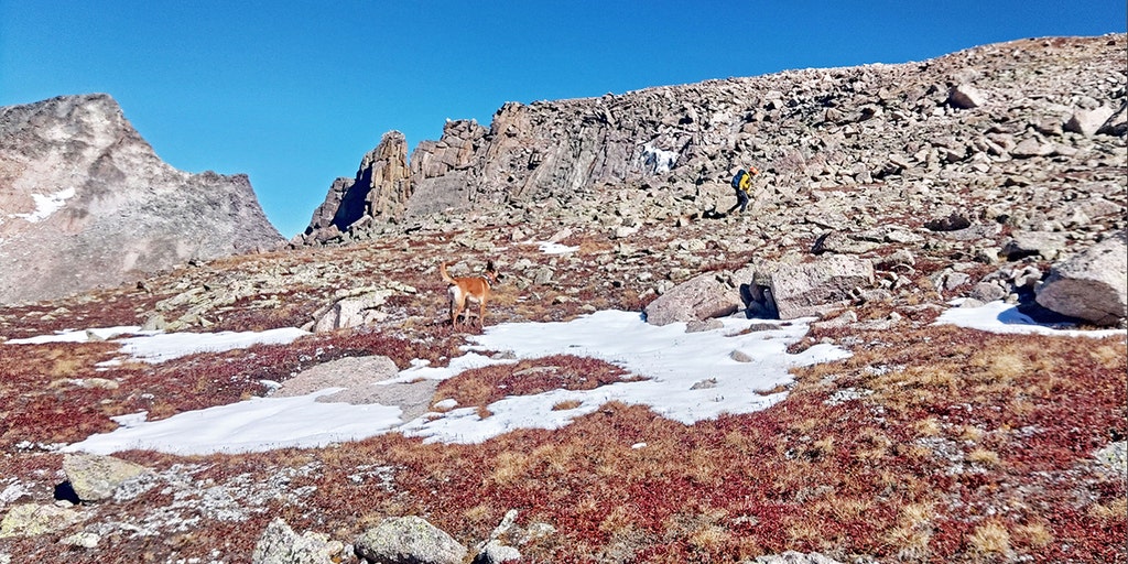 Search officially suspended for missing trail runner after weather in ...