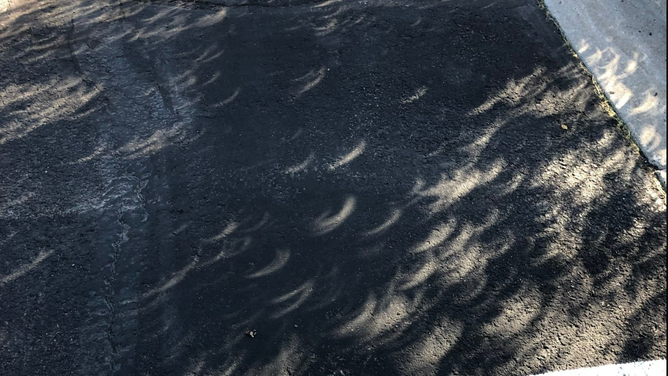 Phenomenon of crescent-shaped shadows wows spectators across the ...