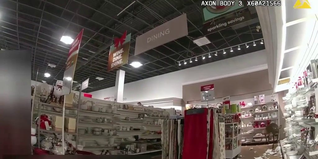 Video captures Maine police caught like ‘deer in headlights’ in hunt ...