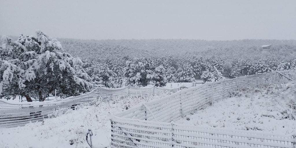 Winter storm could dump over a foot of snow in NM, CO as heavy rain ...