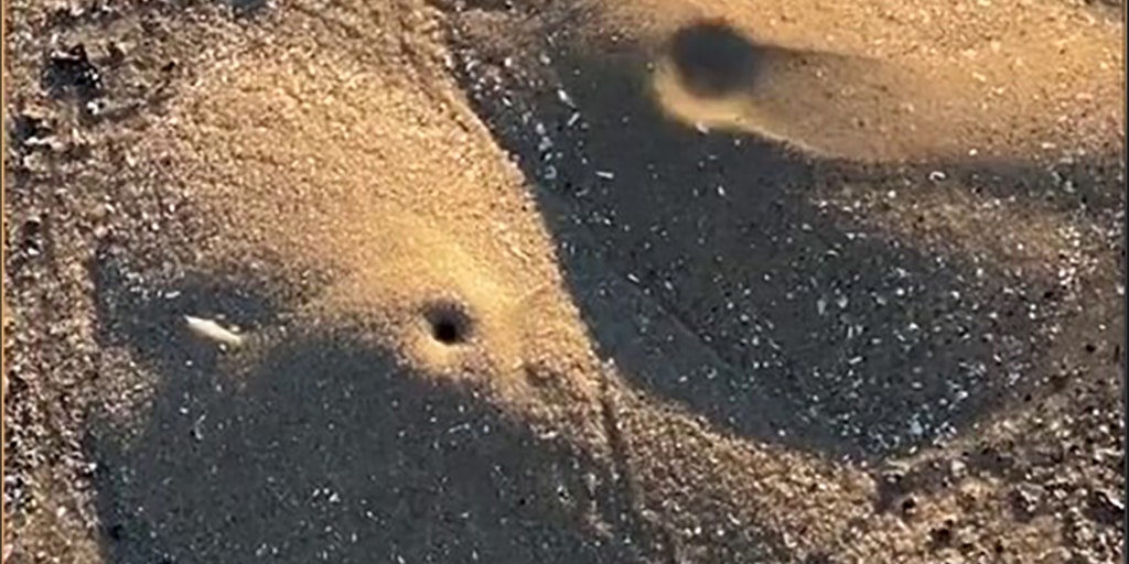What’s beneath your toes? Intriguing video shows ‘mini volcanoes’ on ...