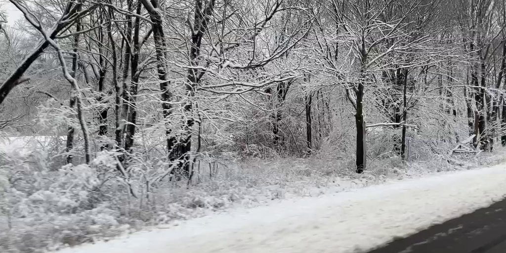 Washington sees first snow of season as wind, rain lash Northeast coast ...