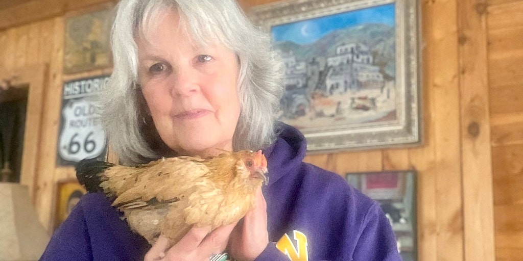 Oldest chicken in the world, Peanut, dies at 21 in Michigan | Fox Weather