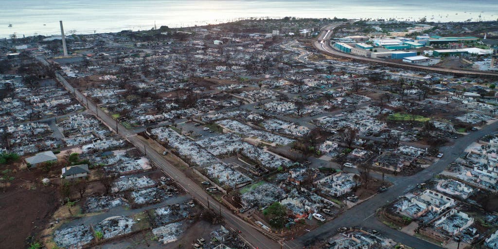Police identify 100th victim of the devastating Hawaii fires | Fox Weather
