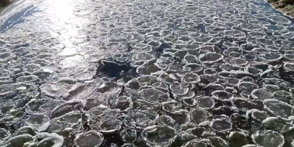 Watch: Drone footage shows pancake ice floating down Minnesota river ...