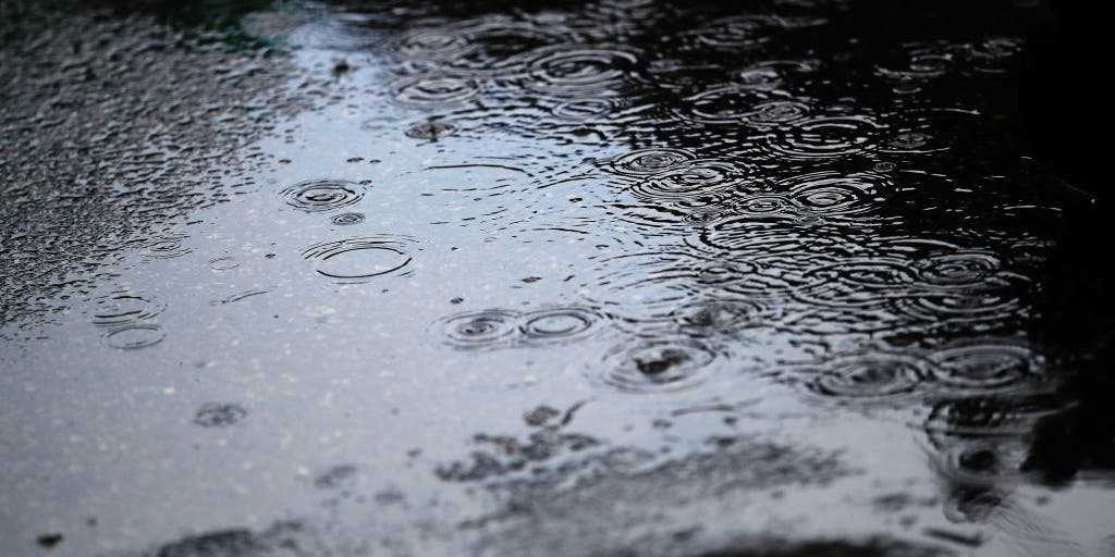 What does a rainy day smell like? | Fox Weather