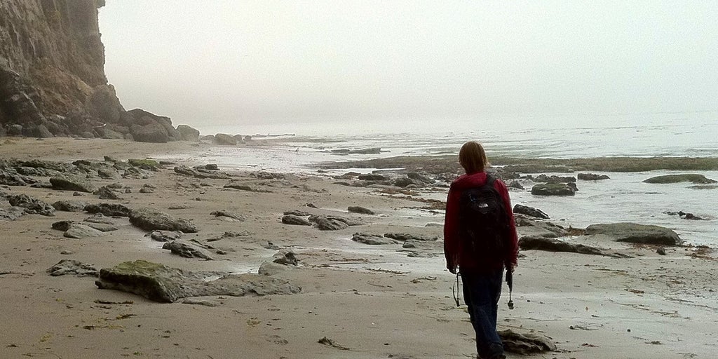 New walrus species named after teen who discovered 5 million-year-old ...