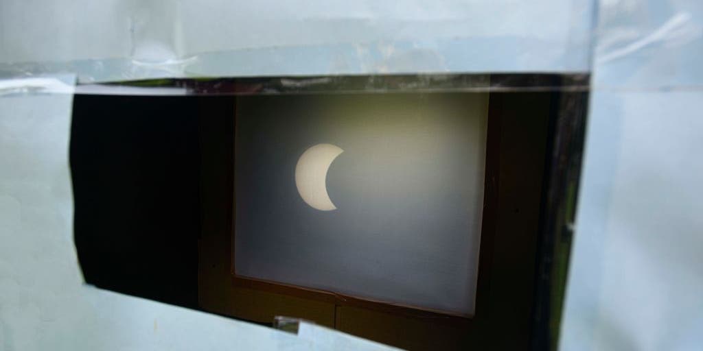 What is a pinhole camera? How to use it to view the total solar eclipse | Fox Weather