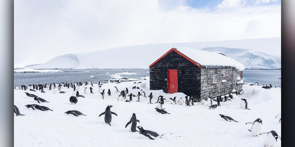 Antarctica's 'Penguin Post Office' is hiring for one of most unique ...