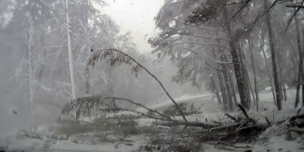 Watch: Maine police officer narrowly avoids falling tree downed by snow ...