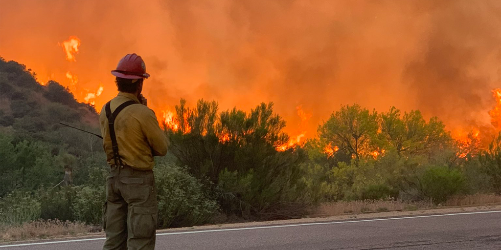 Wildcat Fire in Arizona's Tonto National Forest continues to grow | Fox ...