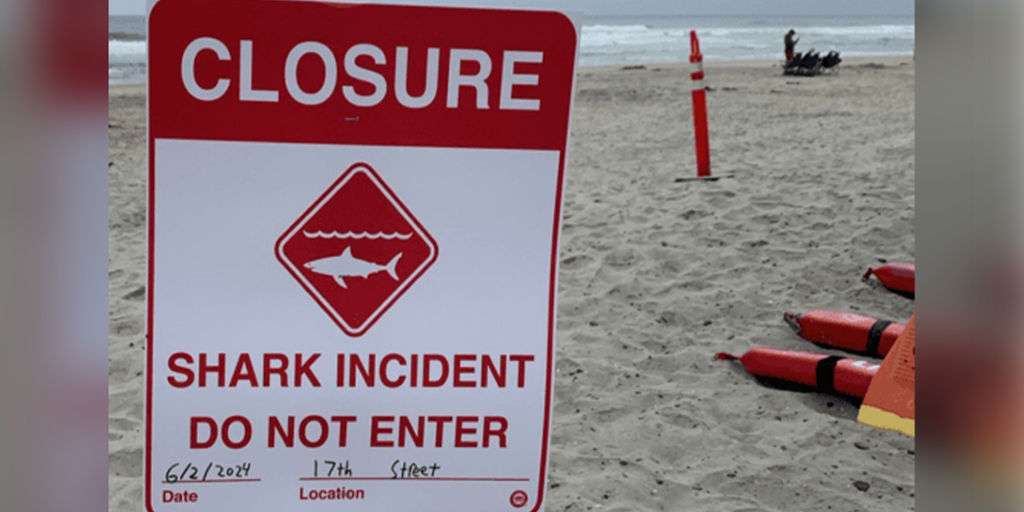 California swimmer attacked by shark off Del Mar beach | Fox Weather