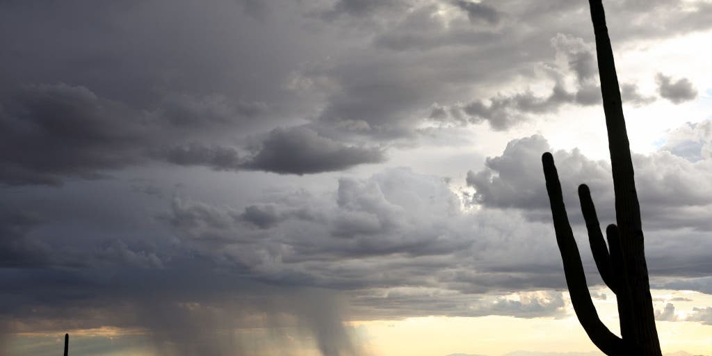 Southwest monsoon season shows signs of life after sluggish start | Fox ...