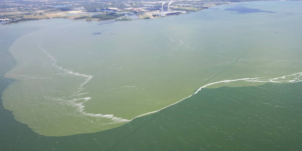 NOAA monitoring for uptick in harmful algae along Great Lakes | Fox Weather