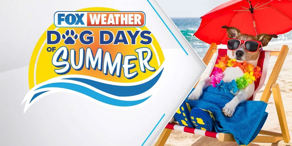 FOX Weather presents 'Dog Days of Summer' this Friday at 8 p.m. ET ...