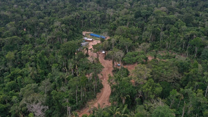 Video shows uncontacted Mashco Piro tribe in Amazon rainforest | Fox ...