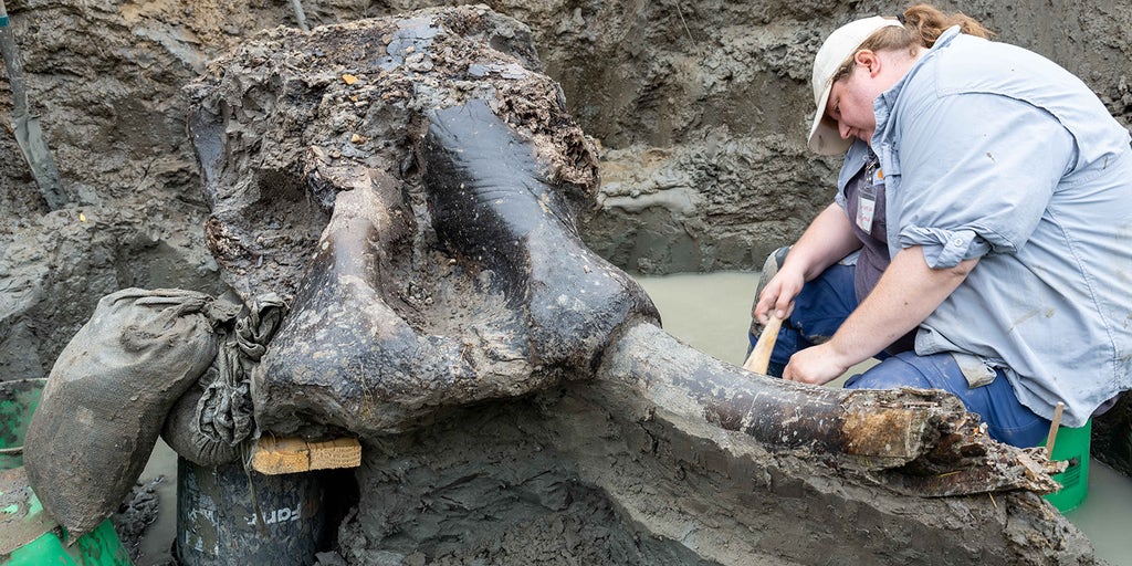 Mastodon skull discovered in Iowa from 13,000 years ago | Fox Weather