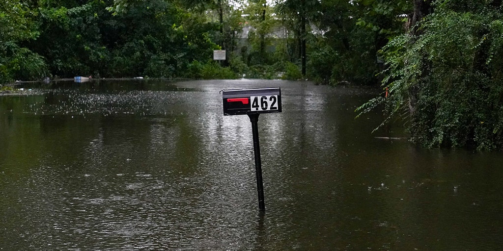 Tropical Storm Debby rainfall totals | Fox Weather