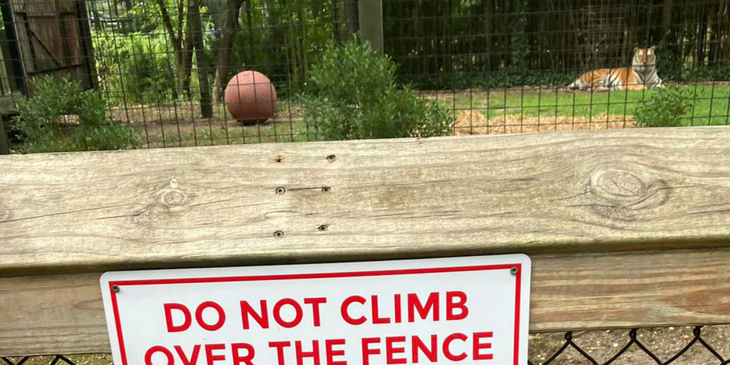 Woman climbs into Bengal tiger enclosure at Cohanzick Zoo in NJ, nearly ...