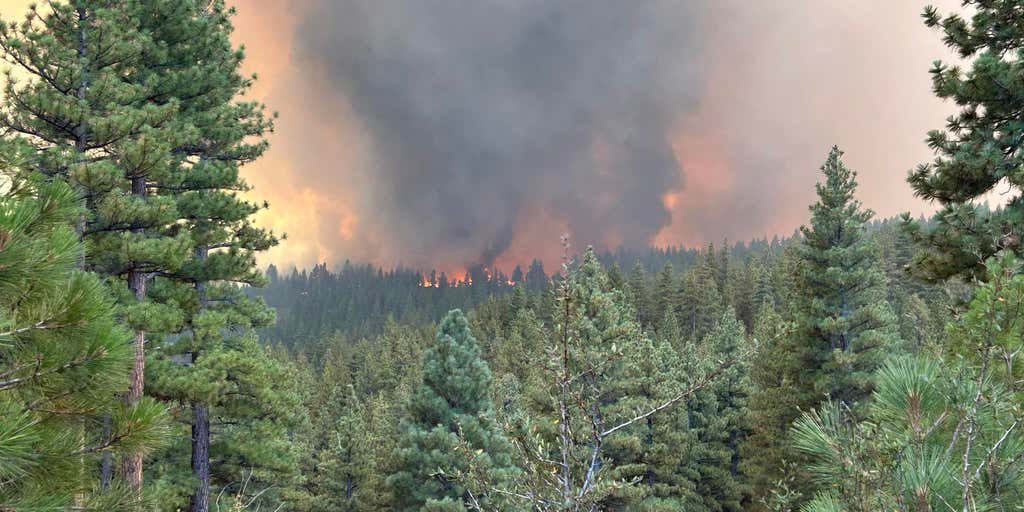 Davis Fire in Nevada burns 5,000 acres prompting widespread evacuations ...