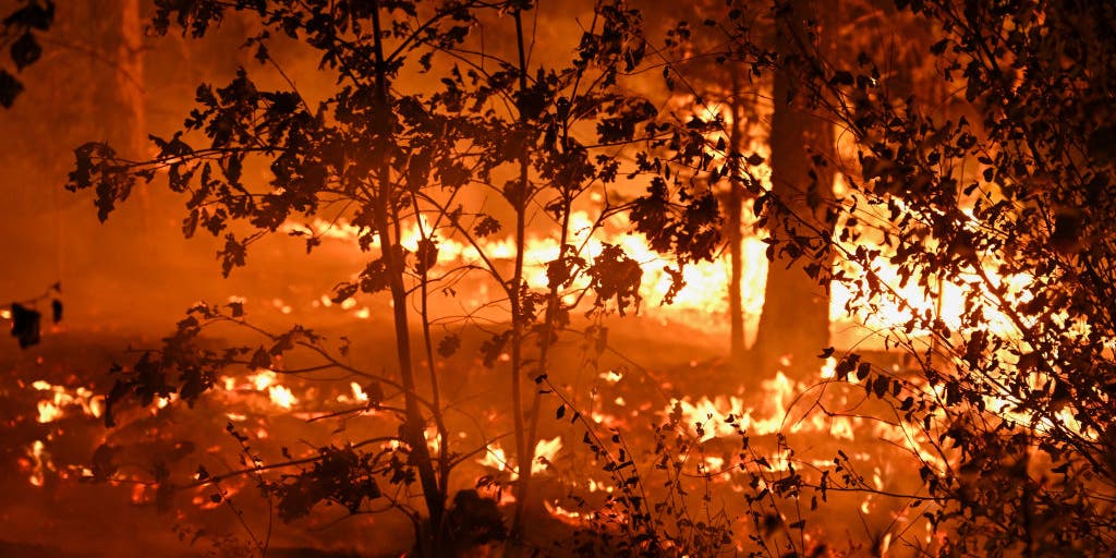 Researchers develop advanced gel to protect homes and other ...