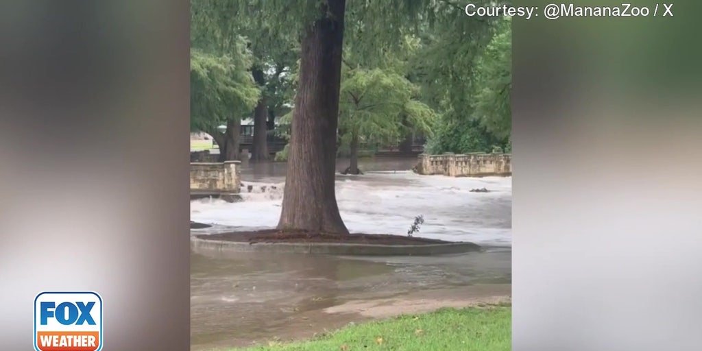 San Antonio Zoo reopens Wednesday after flooding inundated several ...