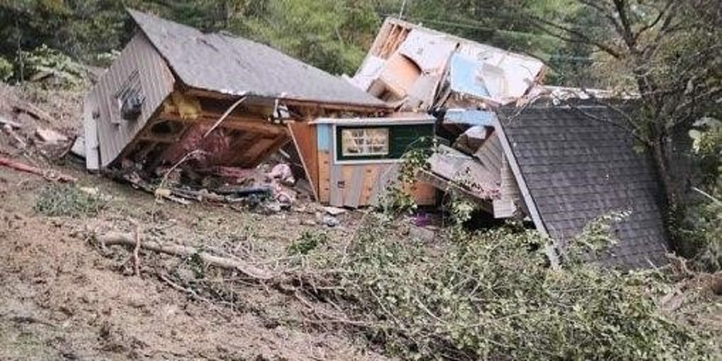 Dog saves 11-year-old from mudslide rubble after Helene in North ...