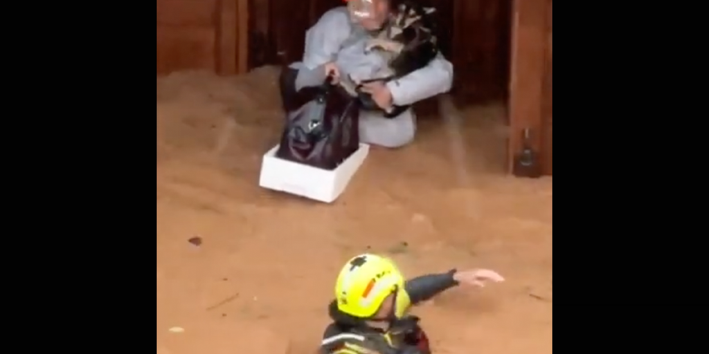 Watch: Woman, pets rescued from rushing flood waters in Spain | Fox Weather