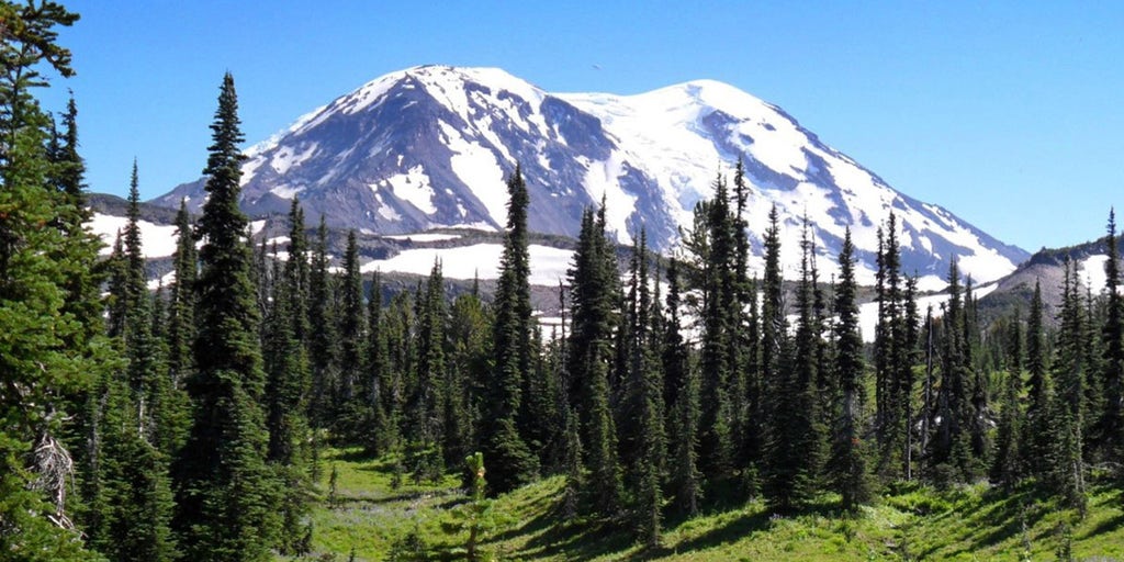 Scientists detect earthquakes around Washington’s Mount Adams | Fox Weather