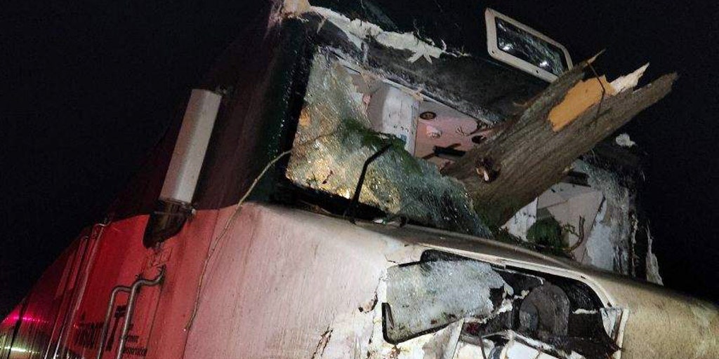 Amtrak train impaled by tree near Seattle during bomb cyclone windstorm ...
