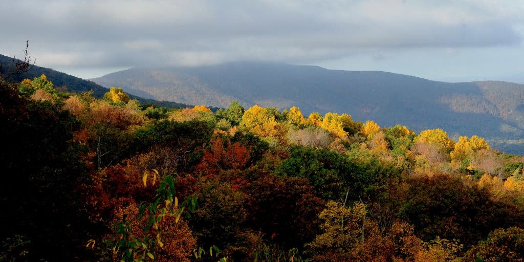 Virginia state parks using special technology to enhance fall foliage ...