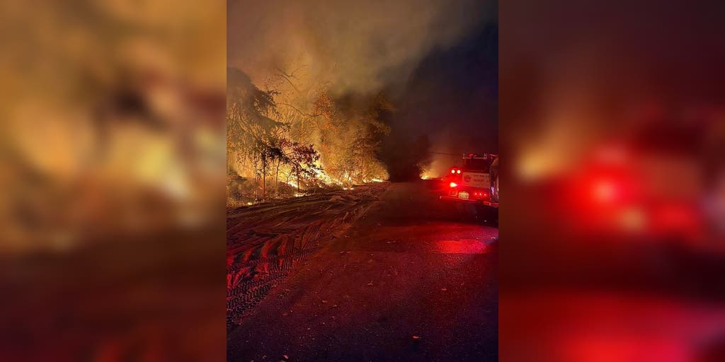 New Jersey wildfire sparked on Halloween amid record-high temperatures ...