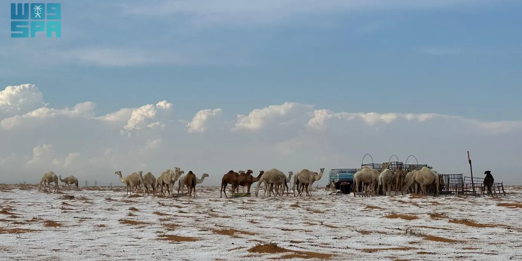 Photos show hail blanketing Saudi Arabian desert | Fox Weather