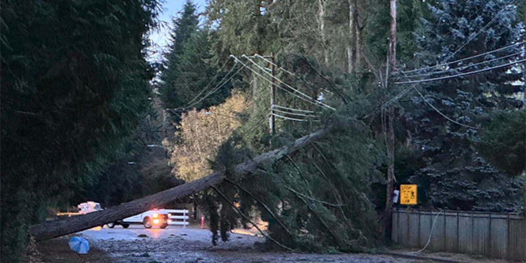 Bomb cyclone slams Seattle area leaving at least 2 dead, widespread ...