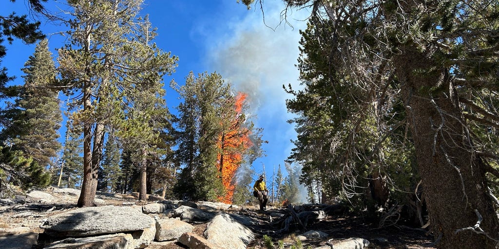 Fire season ends in Yosemite National Park | Fox Weather