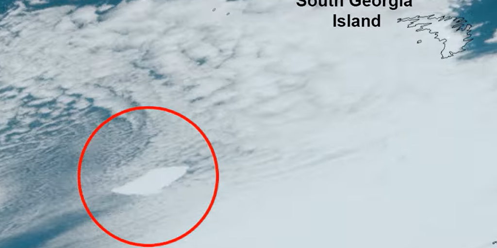World’s largest iceberg on possible collision course with island | Fox Weather