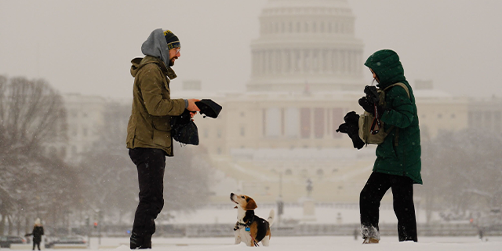 PHOTOS: Snow blankets Washington DC in capital's biggest snowstorm in ...