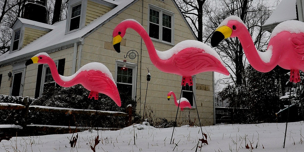 Snow, ice could target South from Texas to Florida next week | Fox Weather