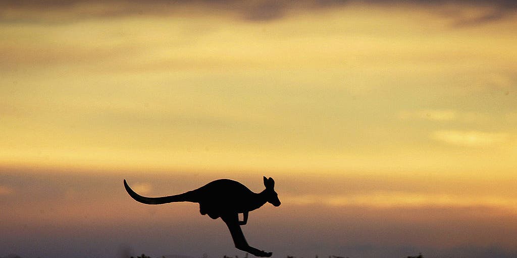 Demise of Australia’s large kangaroos likely not caused climate change ...